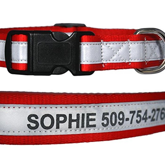Personalized Reflective Dog Collars | A Listly List Personalized Reflective Dog Collars | A Listly List